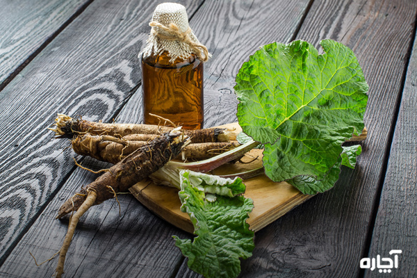 آشنایی با 8 مورد از خواص گیاه بابا آدم که معجزه می‌کند! - مجله وبسایت آچاره